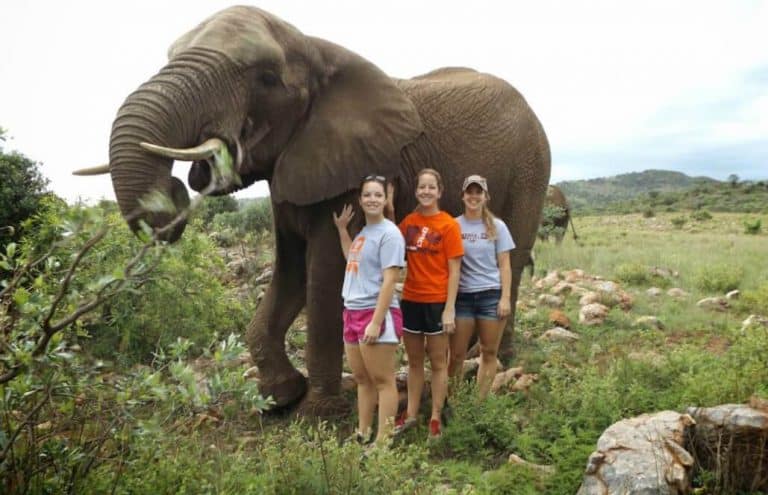 Volunteer in South Africa at the Wildlife Sanctuary | GoEco