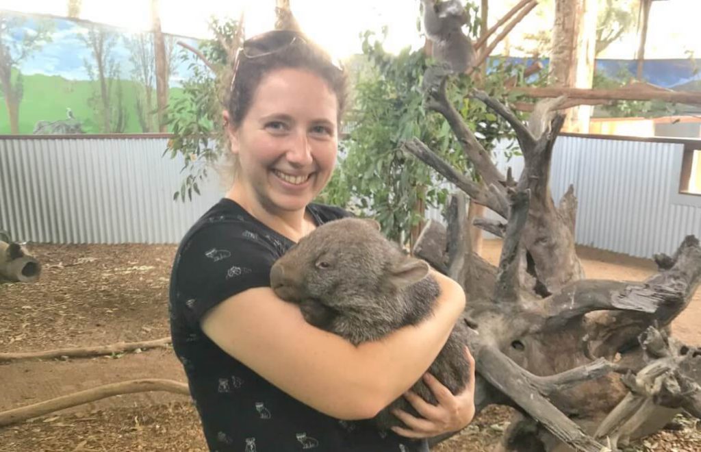 Australian Wildlife - Emus, Wombats and Tasmanian Devils