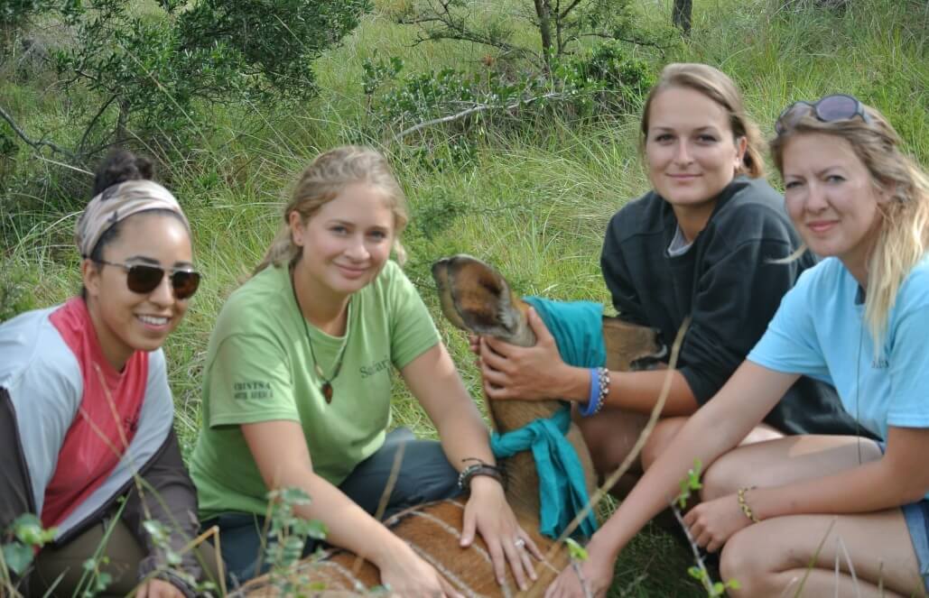 Pre-Veterinary Wildlife Program in South Africa - Unique Wildlife ...
