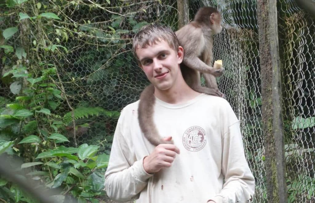 Volunteer with Monkeys in South America and Africa